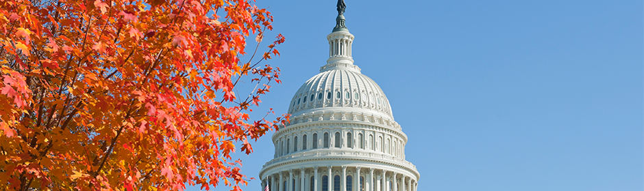 Laura Walling | Goodwill Industries International, Inc.