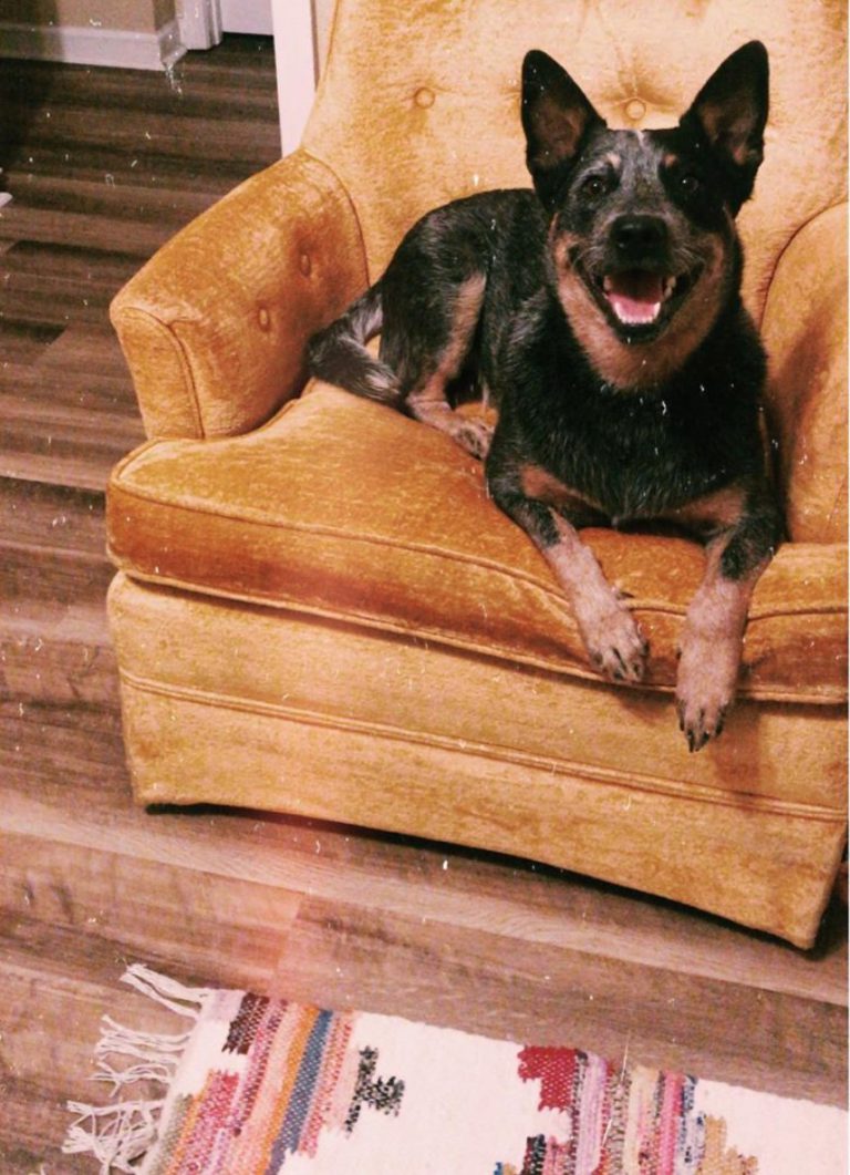 4 Easy Ways To Transition Your Home Into A Cozy Fall Oasis - Without ...