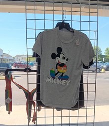 Thrifting Brave Color Combinations for Pride Month - Goodwill ...